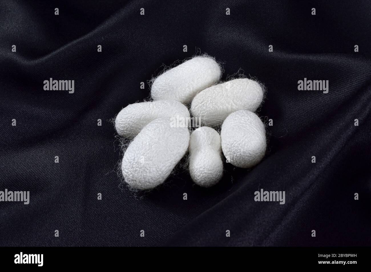 Worm clothing hi-res stock photography and images - Alamy