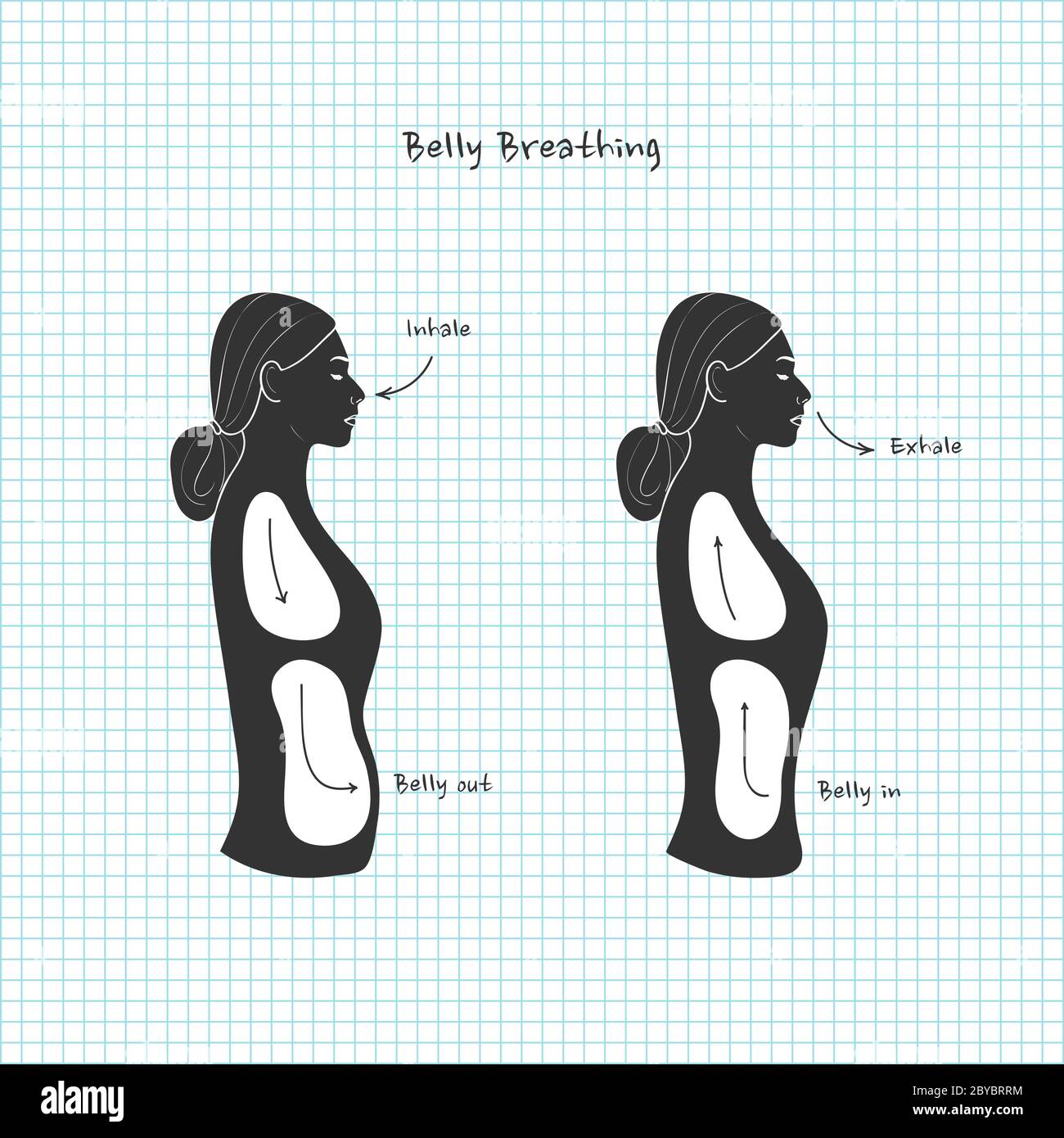 Belly Breathing. Vector Stock Vector Image & Art - Alamy