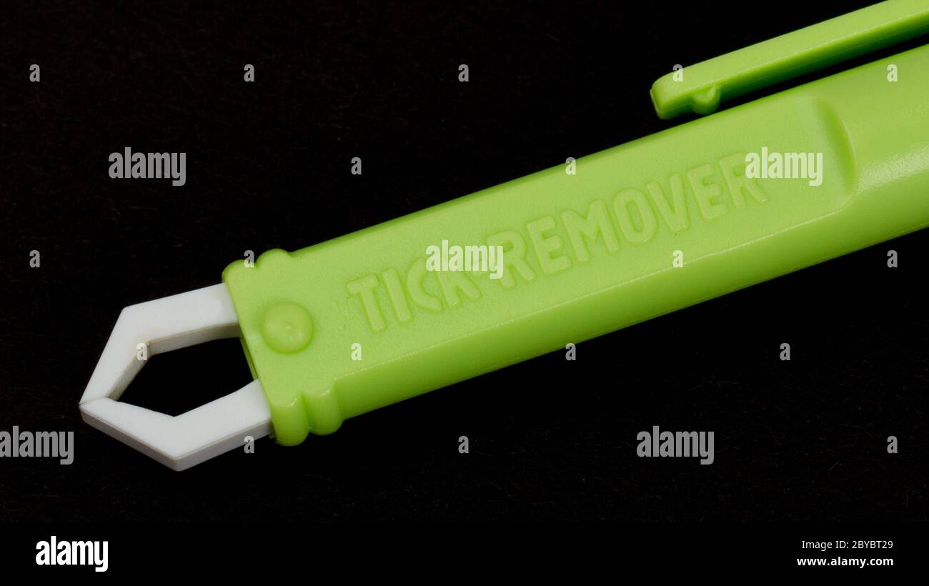 Used green plastic forceps for pets to remove ticks Stock Photo - Alamy