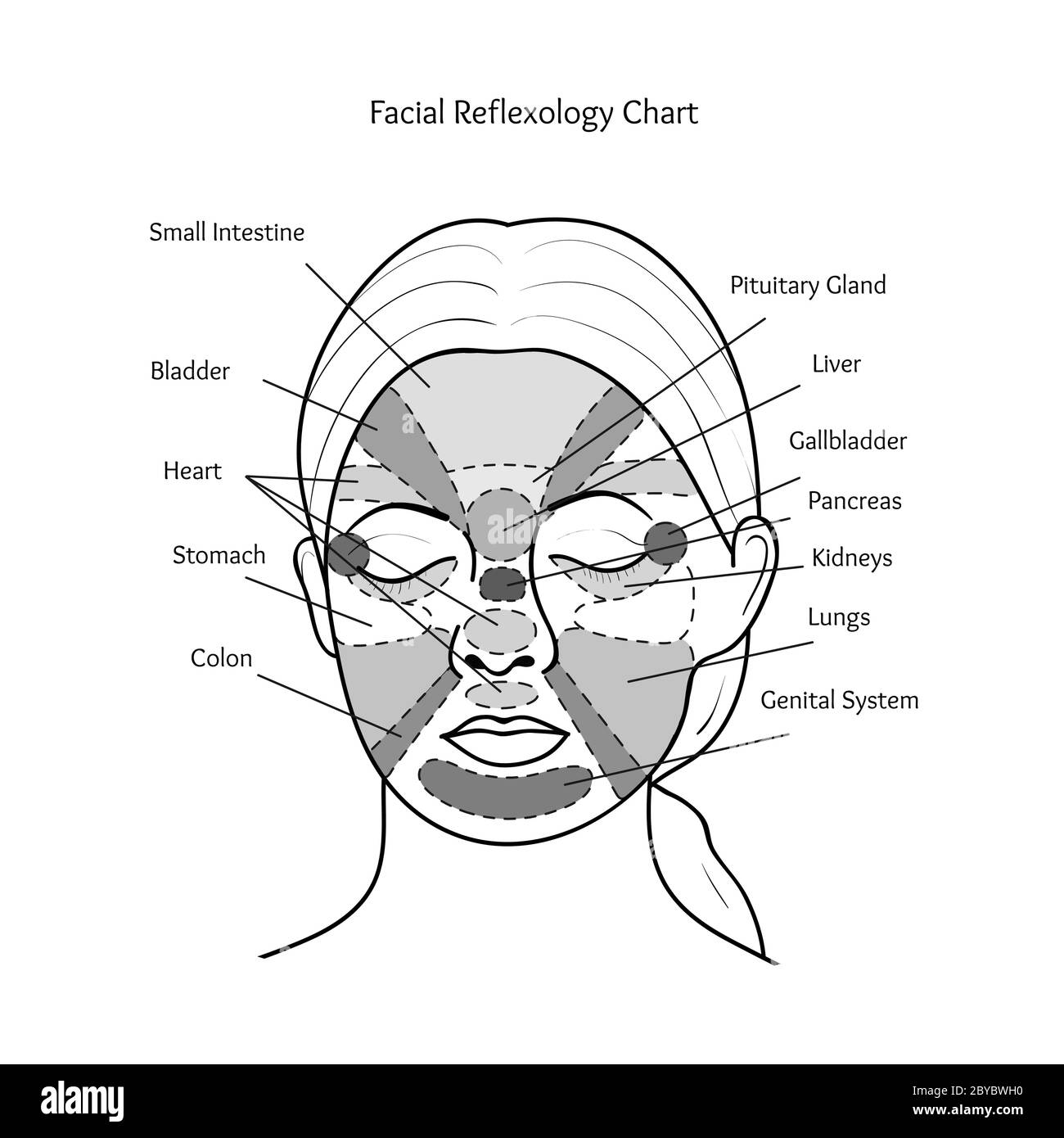 Reflexology chart hi-res stock photography and images - Alamy