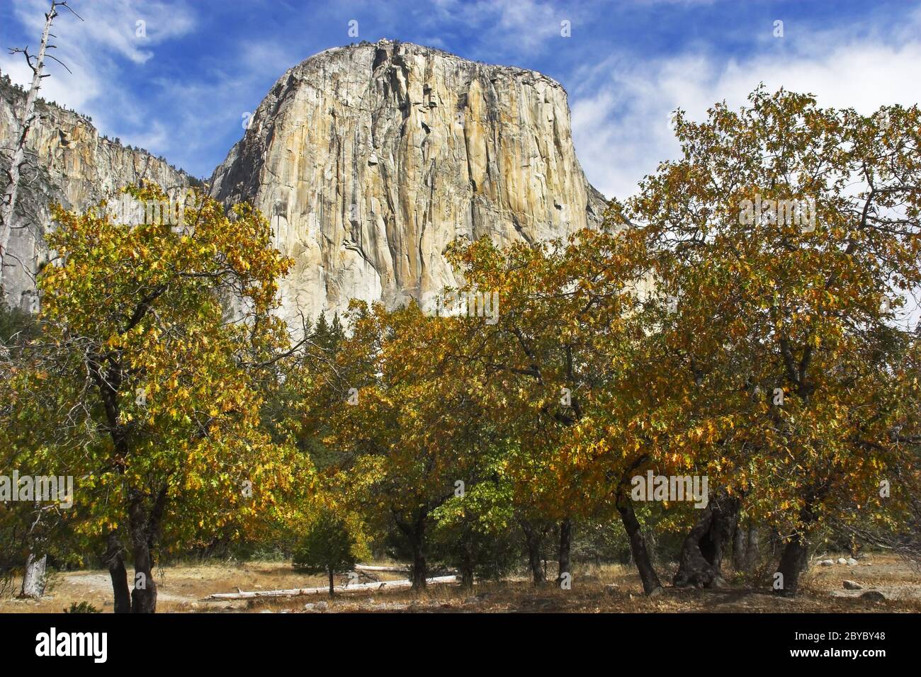 Tall environment hi-res stock photography and images - Alamy