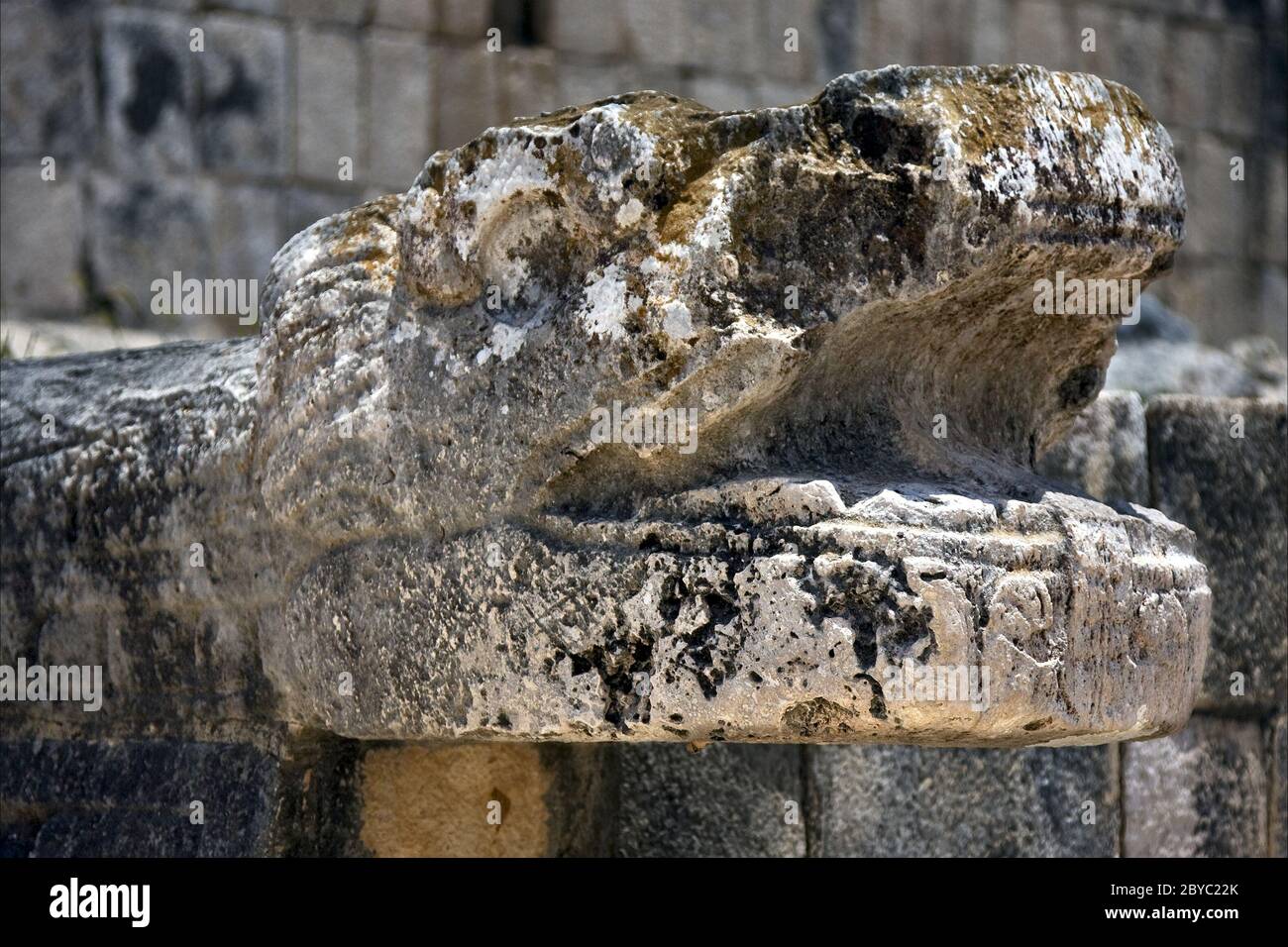 skull snake mexico the abstract Stock Photo - Alamy