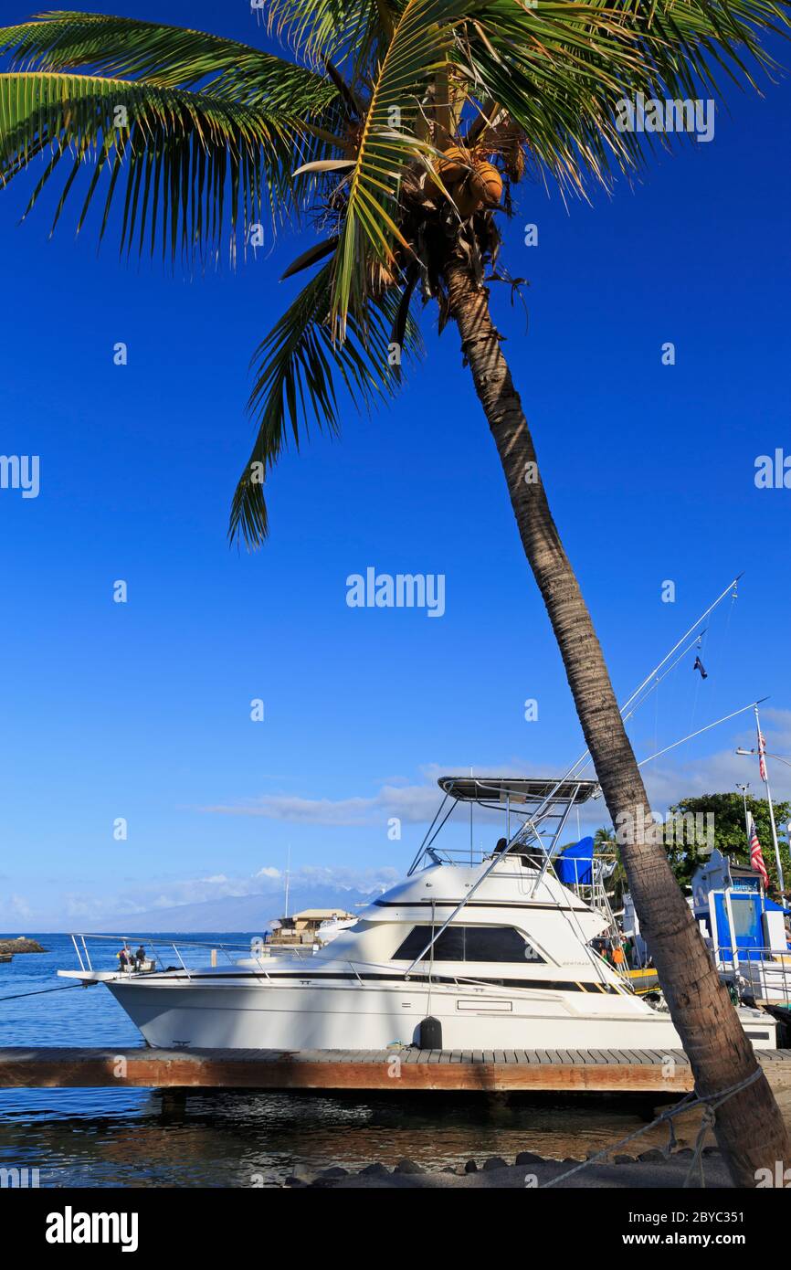 Small Boat Harbor, Lahaina, Maui Island, Hawaii, USA Stock Photo - Alamy