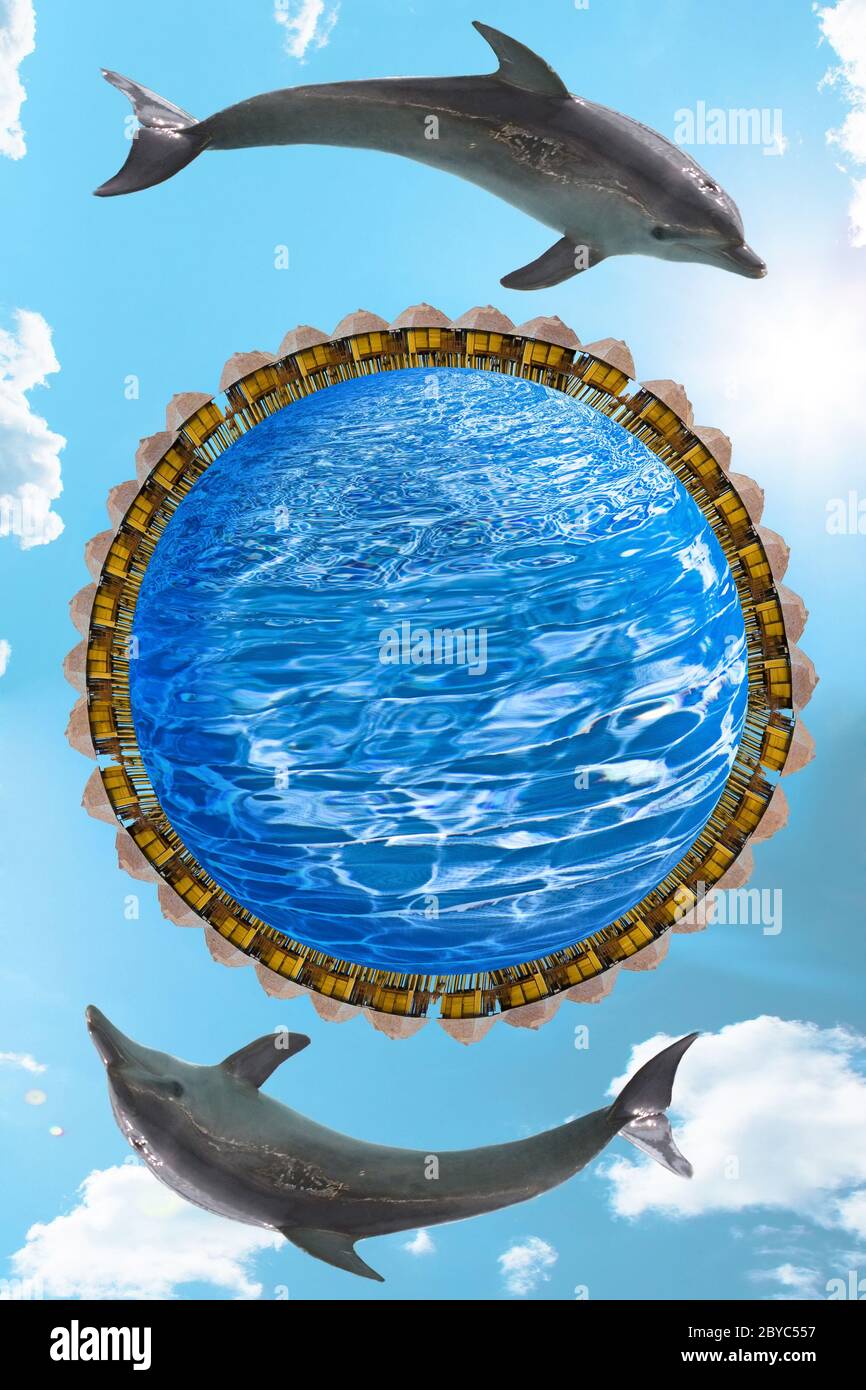 Dolphins and azure planet Stock Photo - Alamy