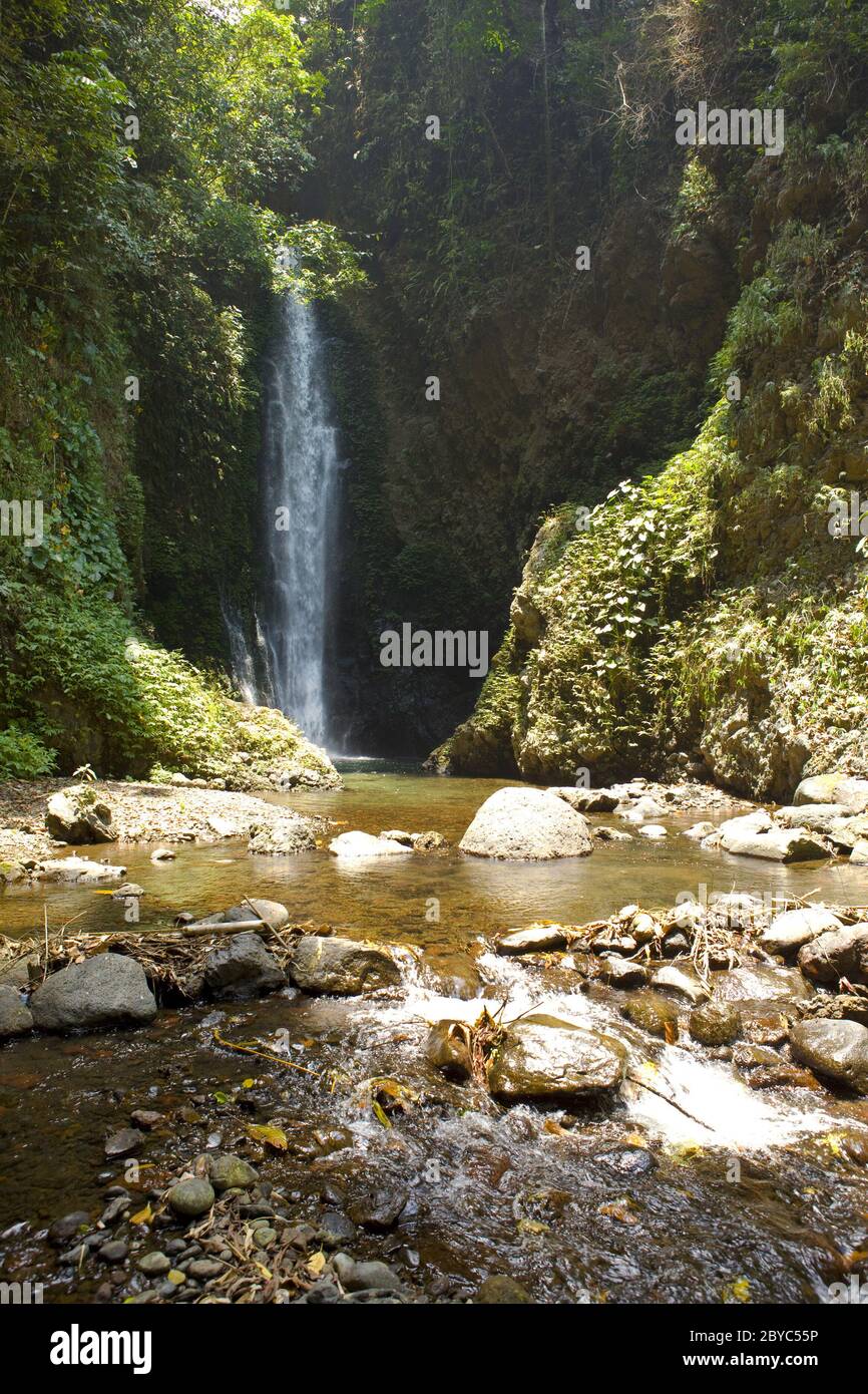 Git hi-res stock photography and images - Alamy