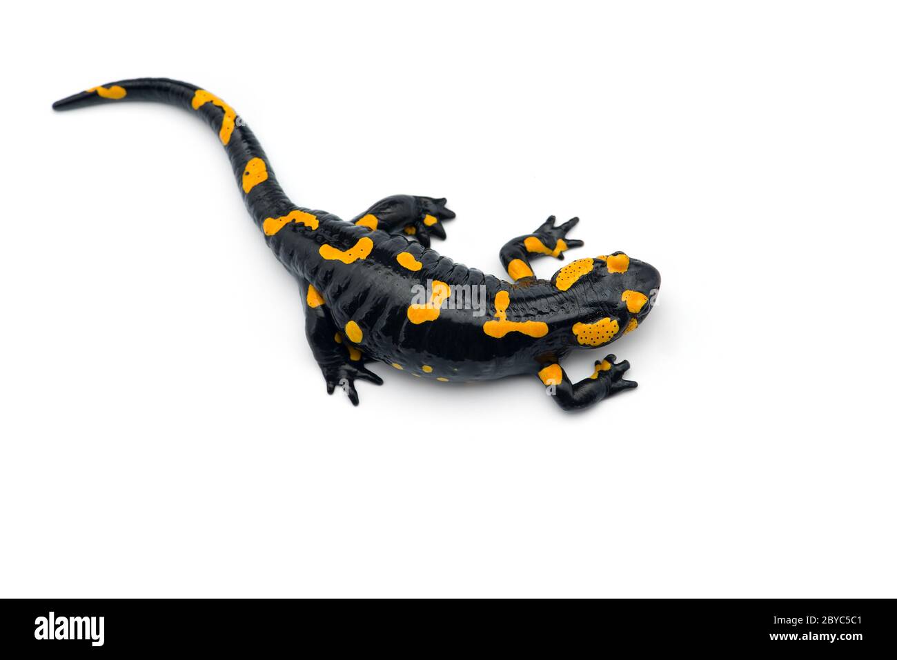 Fire rain forest Cut Out Stock Images & Pictures - Alamy