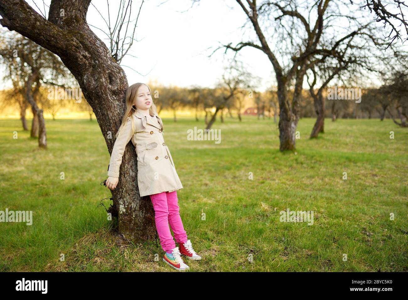 Cute young girl having fun on beautiful sunny spring day. Active family ...
