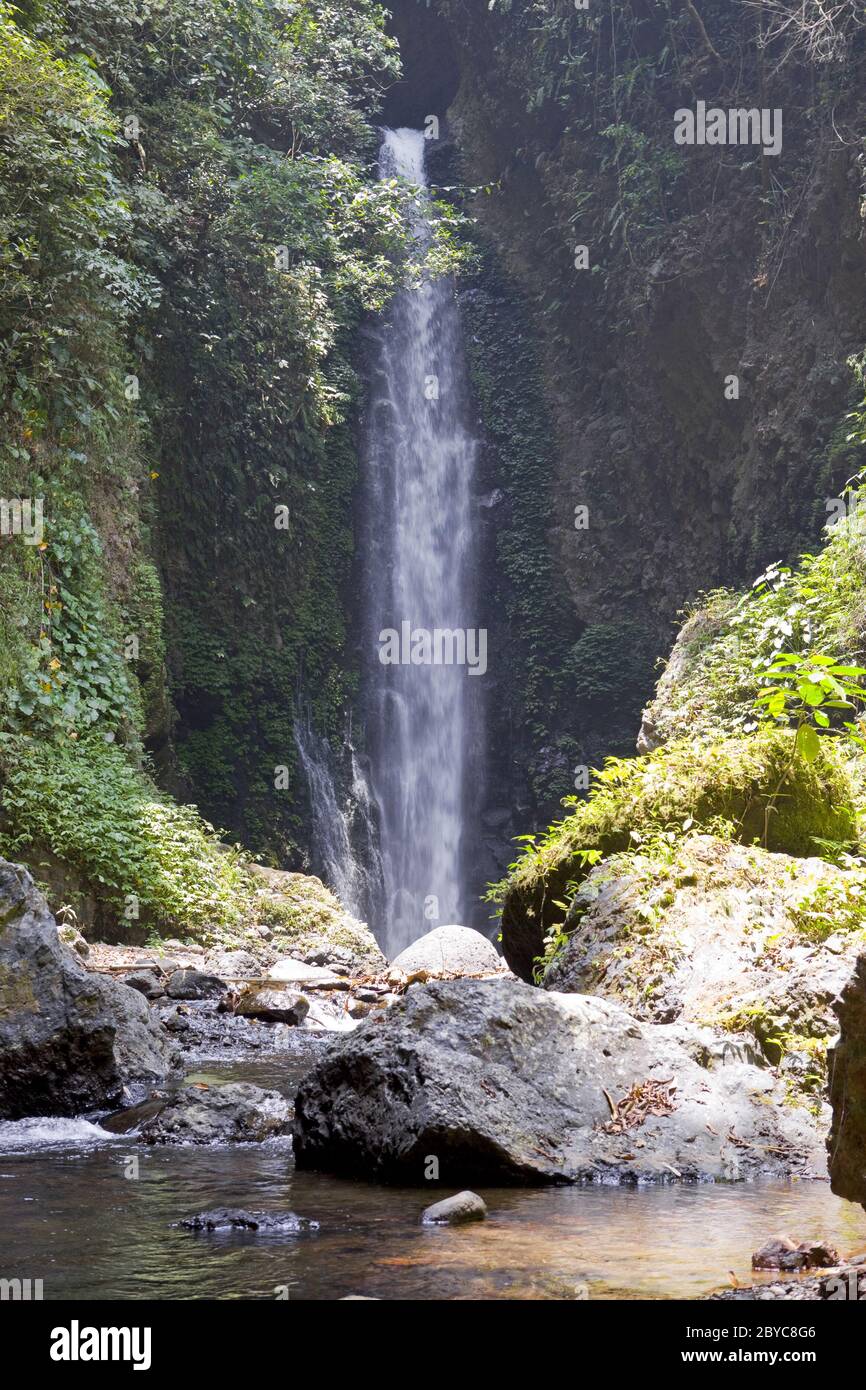 Git hi-res stock photography and images - Alamy