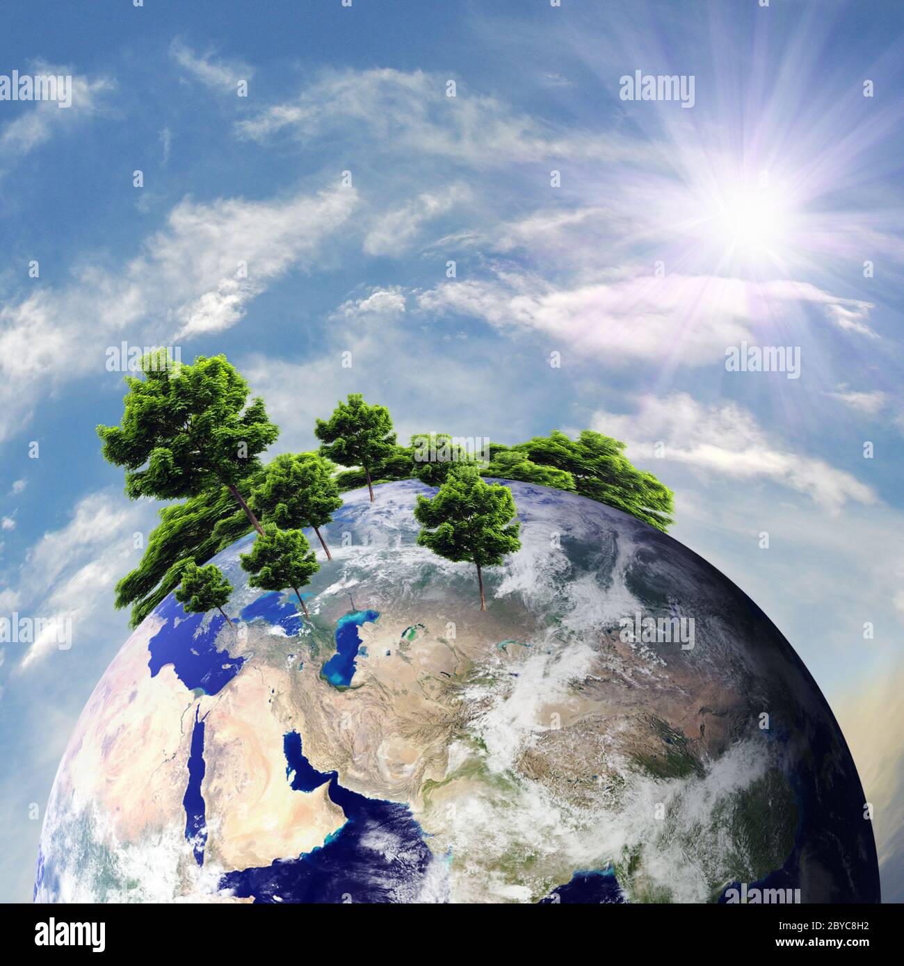 Trees on the Earth Stock Photo - Alamy