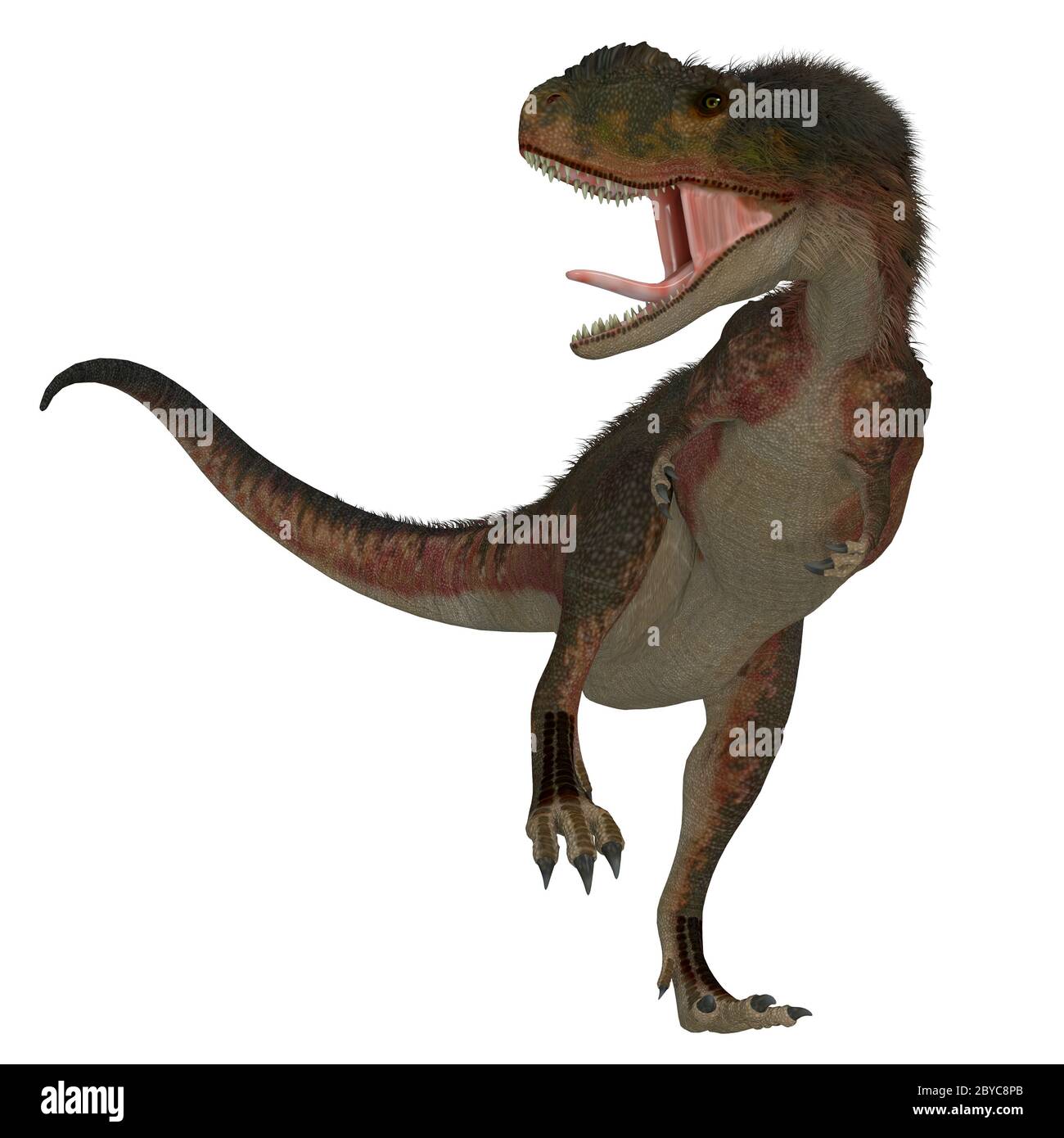 Rugops was a predatory feathered theropod dinosaur that lived in Africa ...