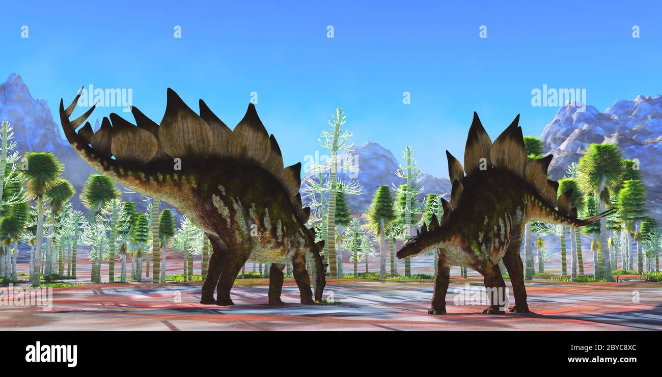 Stegosaurus Dinosaurs - Two herbivorous armored dinosaurs eat in a ...