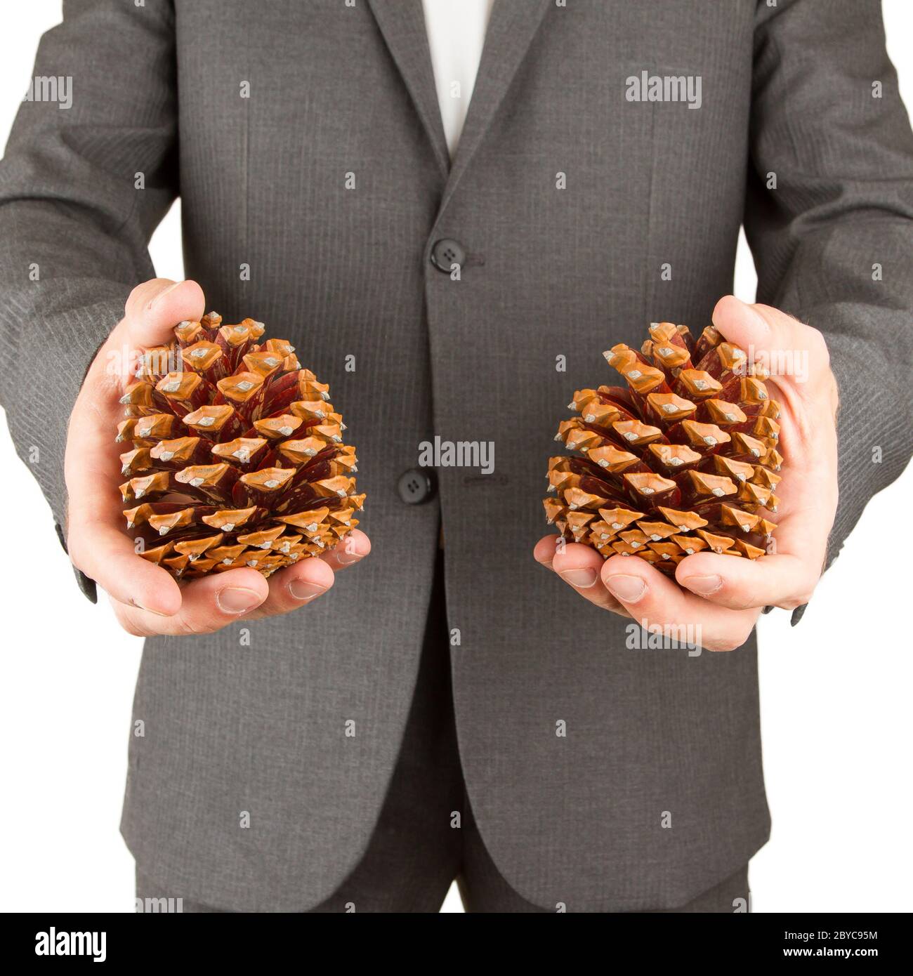Man in grey suit is holding two pine cones Stock Photo - Alamy