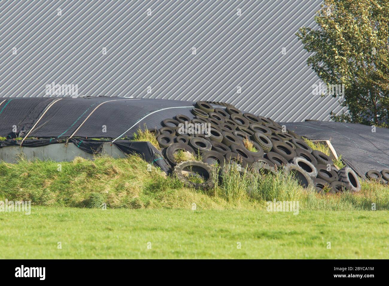 Fermentation hay hi-res stock photography and images - Alamy