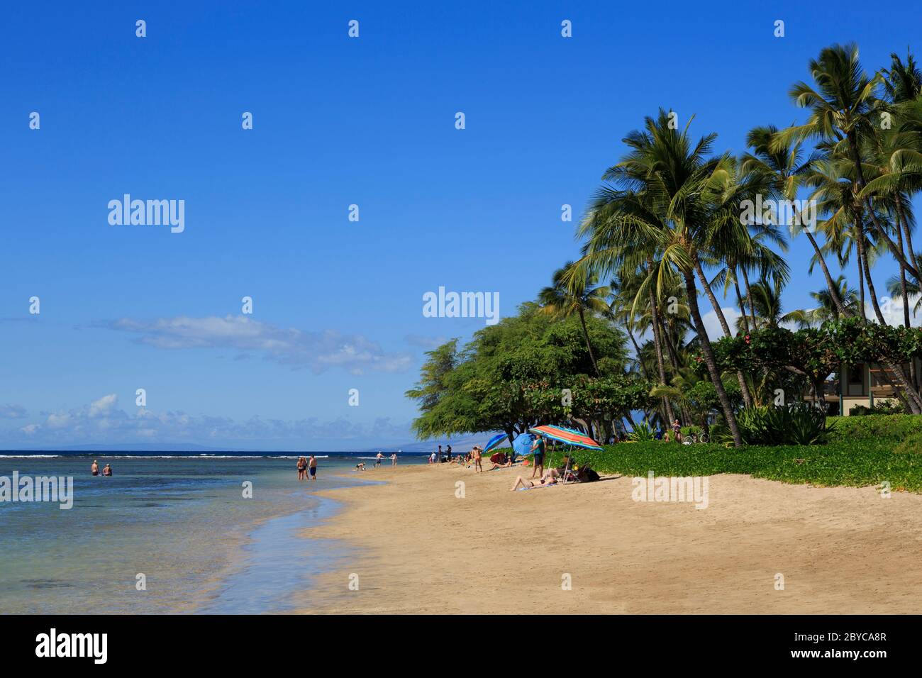 Baby Beach, Lahaina, Maui Island, Hawaii, USA Stock Photo - Alamy