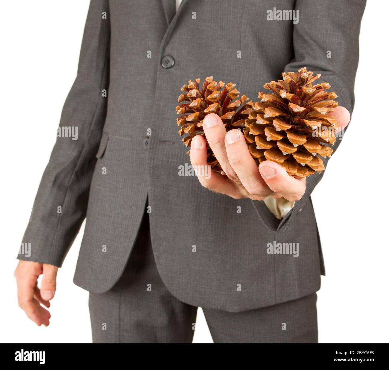 Man in grey suit is holding two pine cones Stock Photo - Alamy