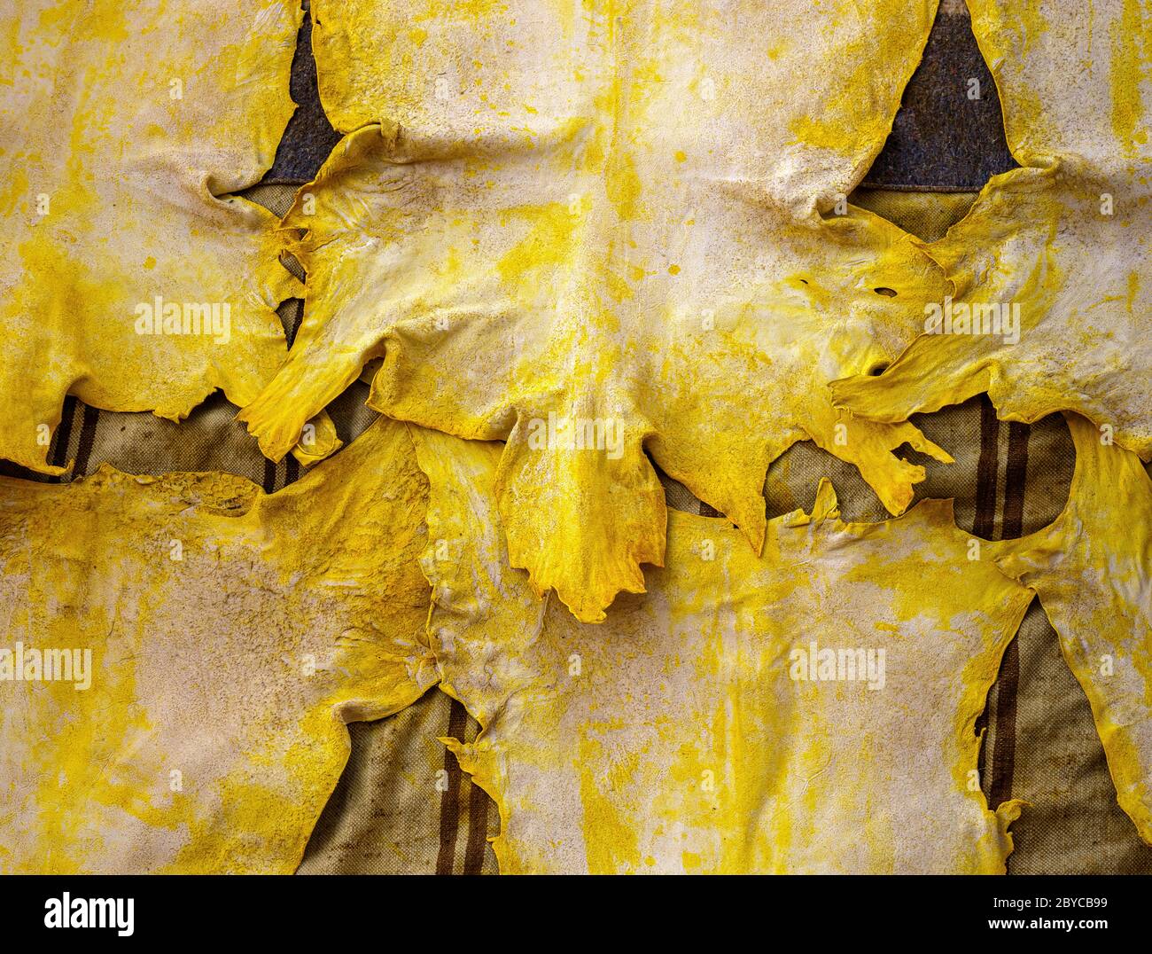Largest tannery in morocco hi-res stock photography and images - Alamy