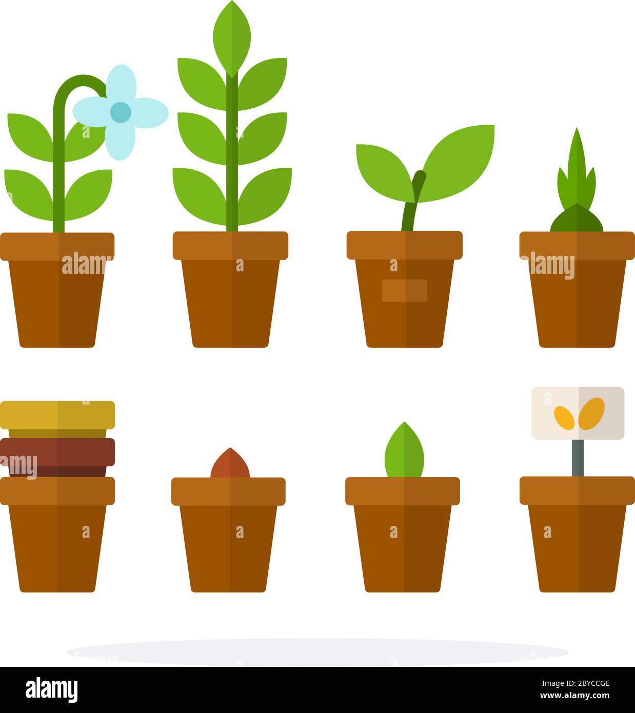 Geranium plant leaves pot Stock Vector Images - Alamy