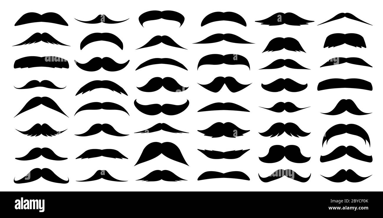 Mustache collection. Vintage moustache isolated on white. Facial hair ...