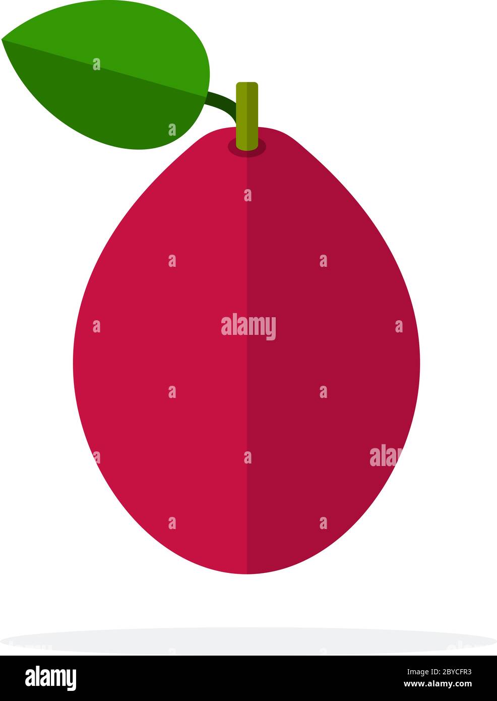 Red plum fruit with leaf vertically flat isolated Stock Vector Image ...