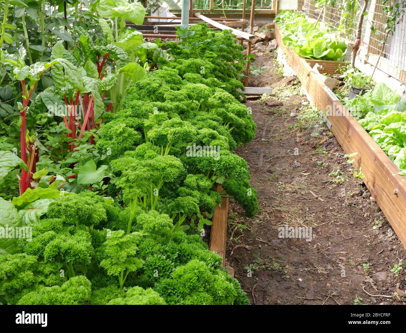 Herb plot hi-res stock photography and images - Alamy