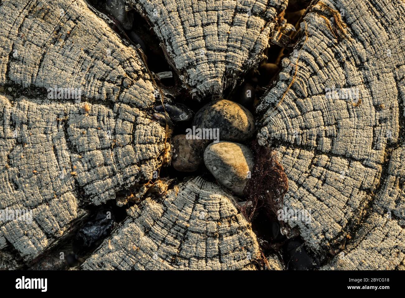 Lock cross section hi-res stock photography and images - Alamy