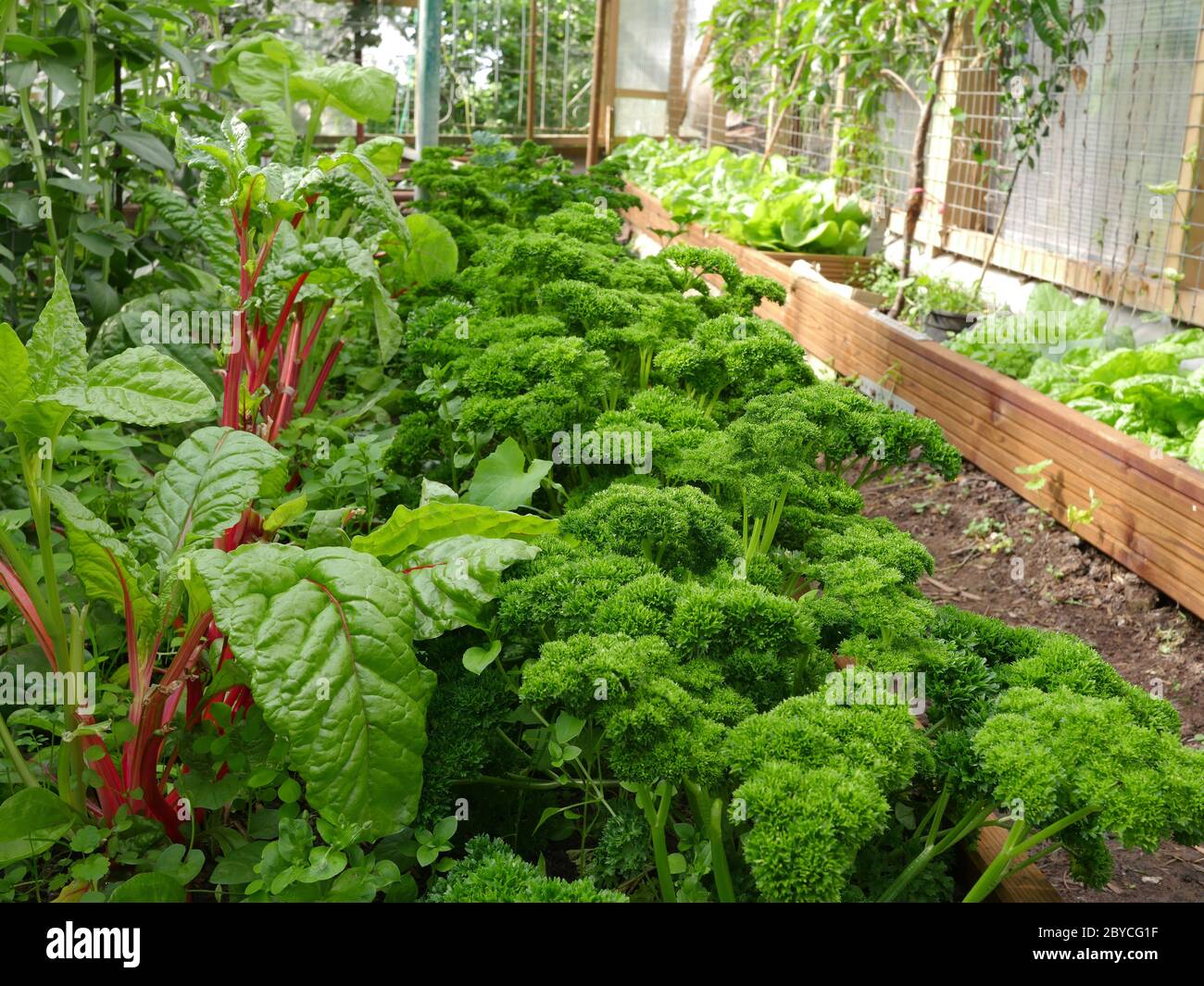 Herb plot hi-res stock photography and images - Alamy