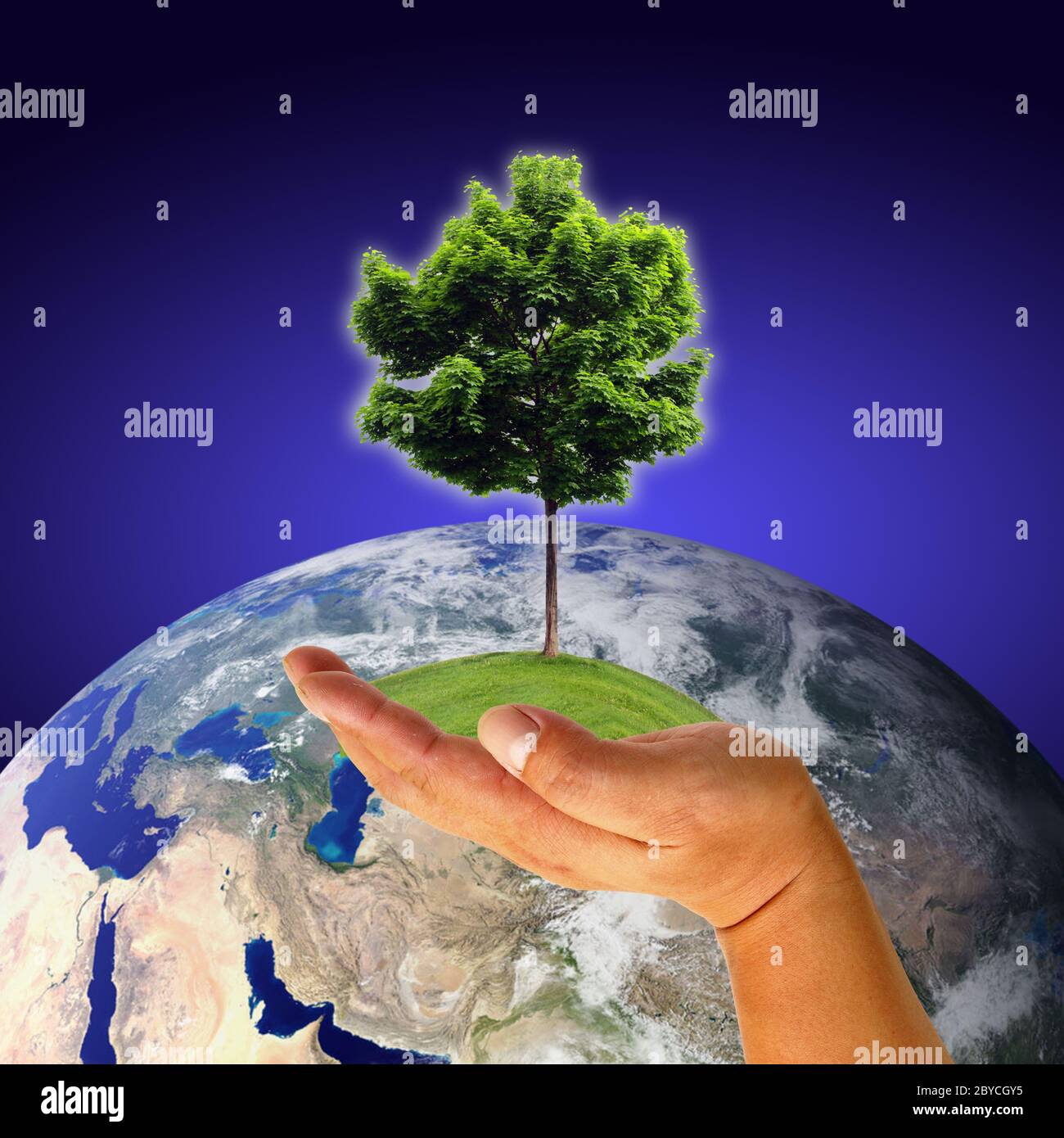Earth with tree in hand Stock Photo - Alamy