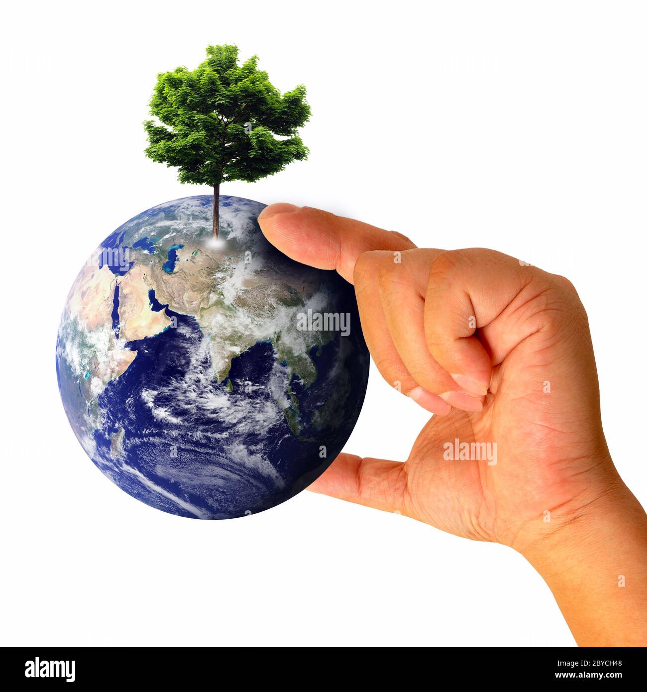 Hand tree hi-res stock photography and images - Alamy