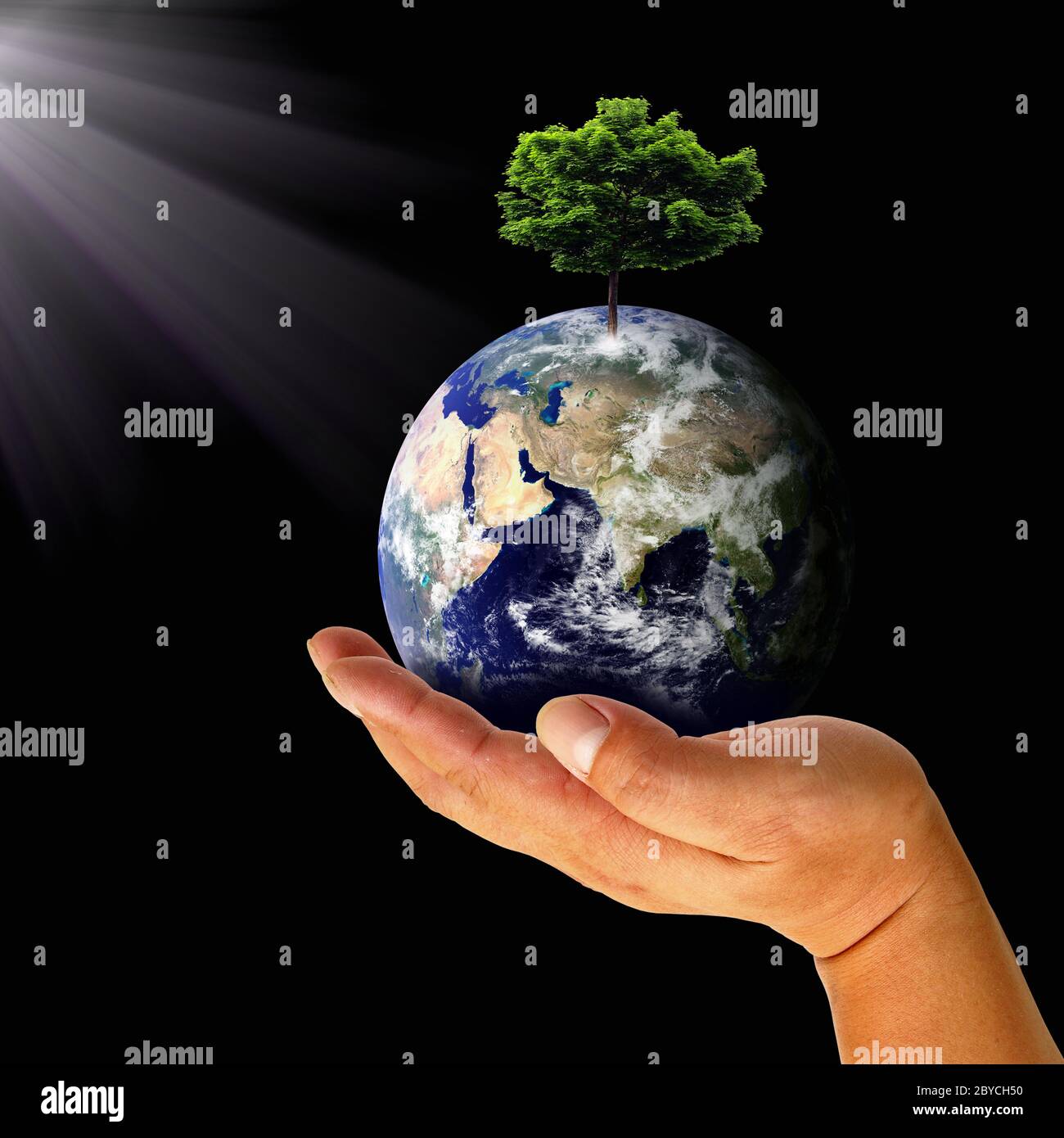 Earth with tree in hand Stock Photo - Alamy