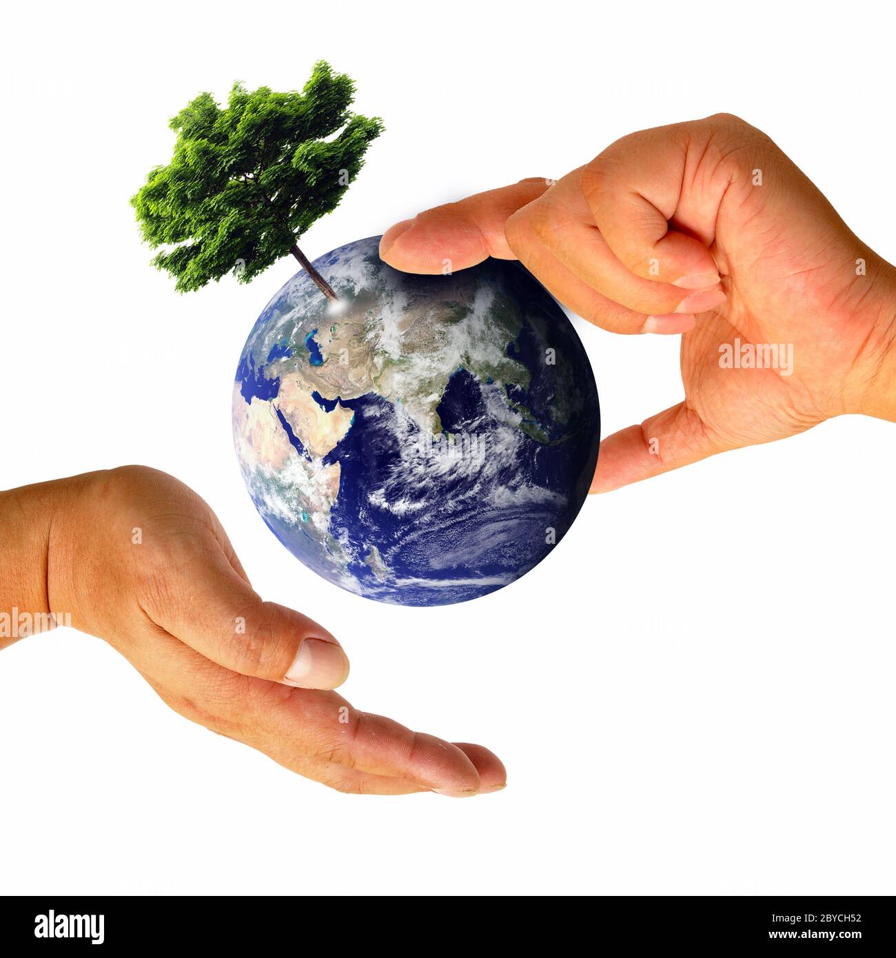 Earth with tree in hand Stock Photo - Alamy