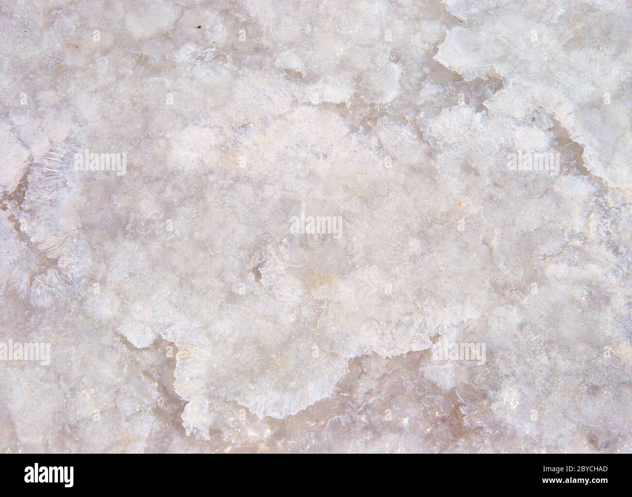 Texture of raw salt on a bottom of a salty lake Stock Photo - Alamy