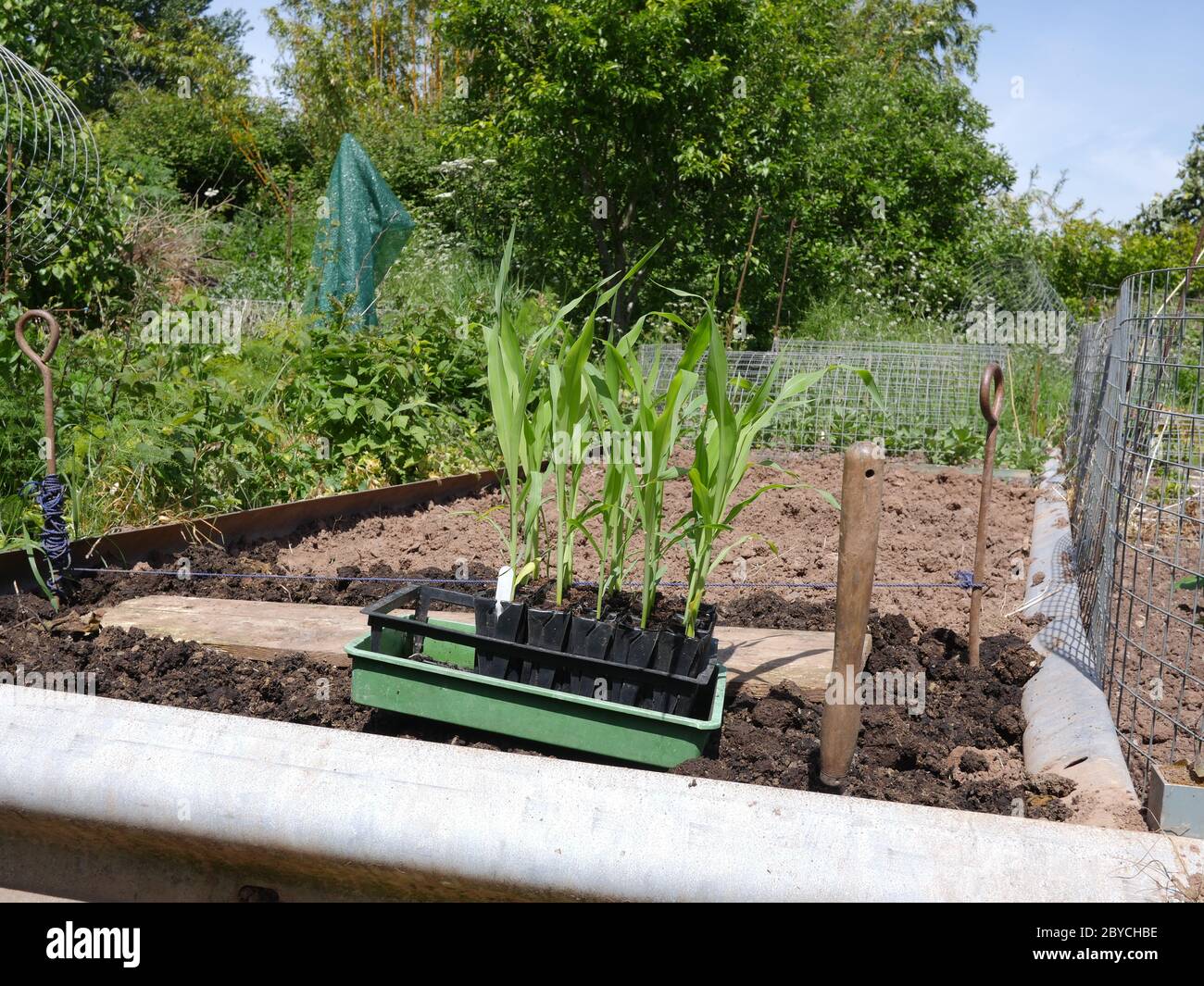 Root trainer hi-res stock photography and images - Alamy