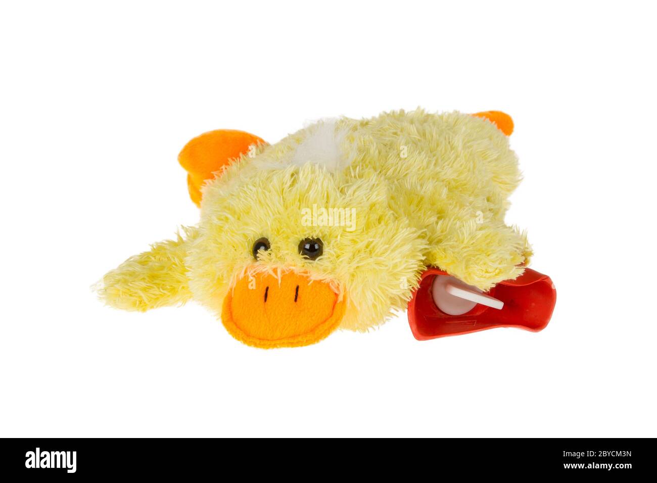 Yellow bog Cut Out Stock Images & Pictures - Alamy