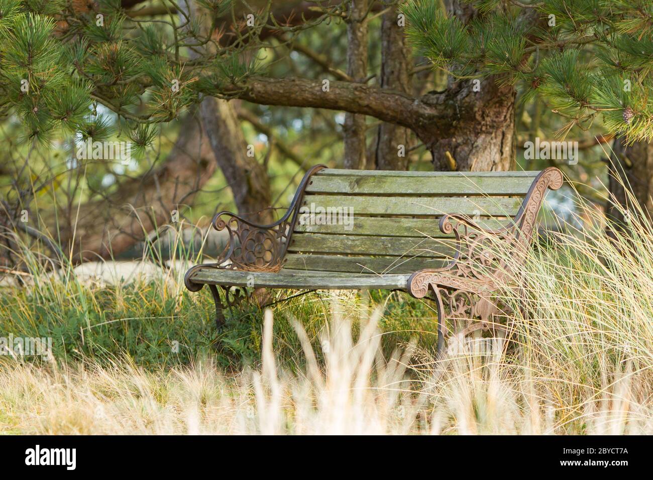 Old steel bench in the dutch nature hi-res stock photography and images ...