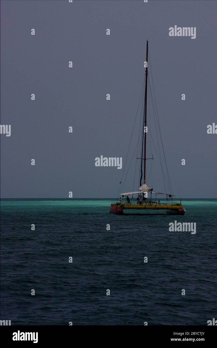 ocean water catamaran Stock Photo - Alamy