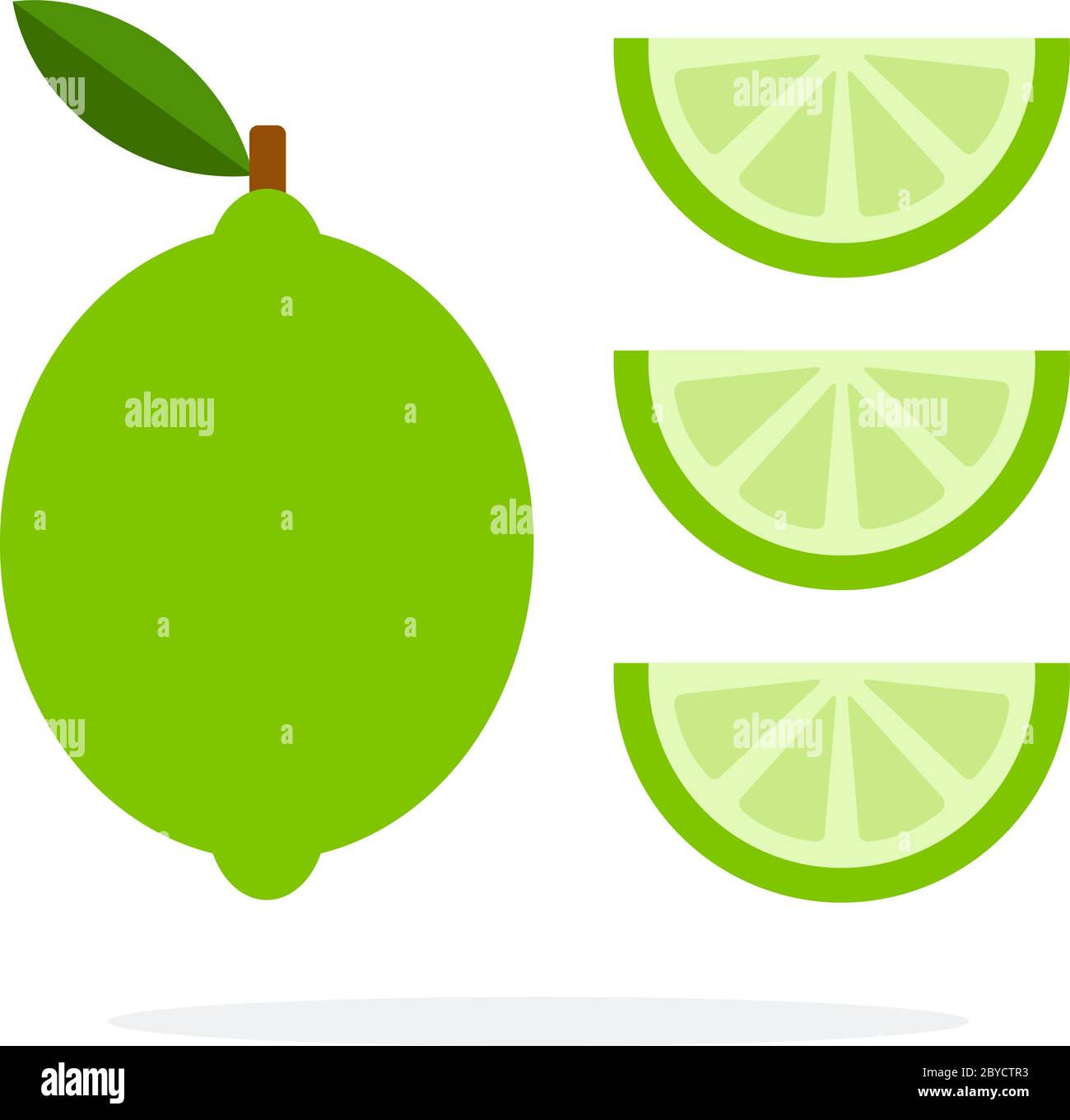 Whole lime vertically and three wedges of lime vector flat isolated ...