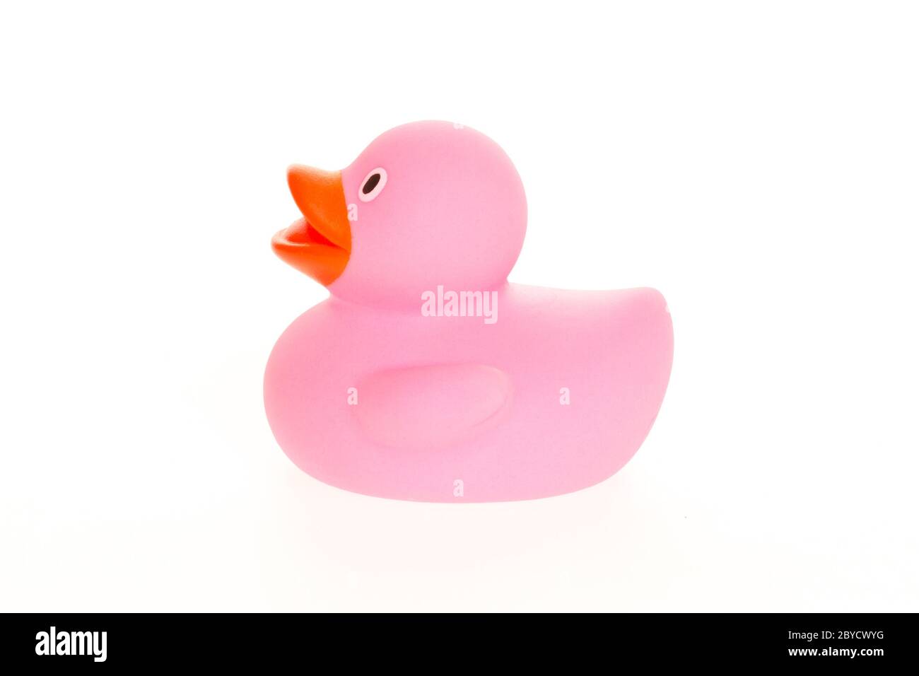 Pink Duck High Resolution Stock Photography and Images - Alamy