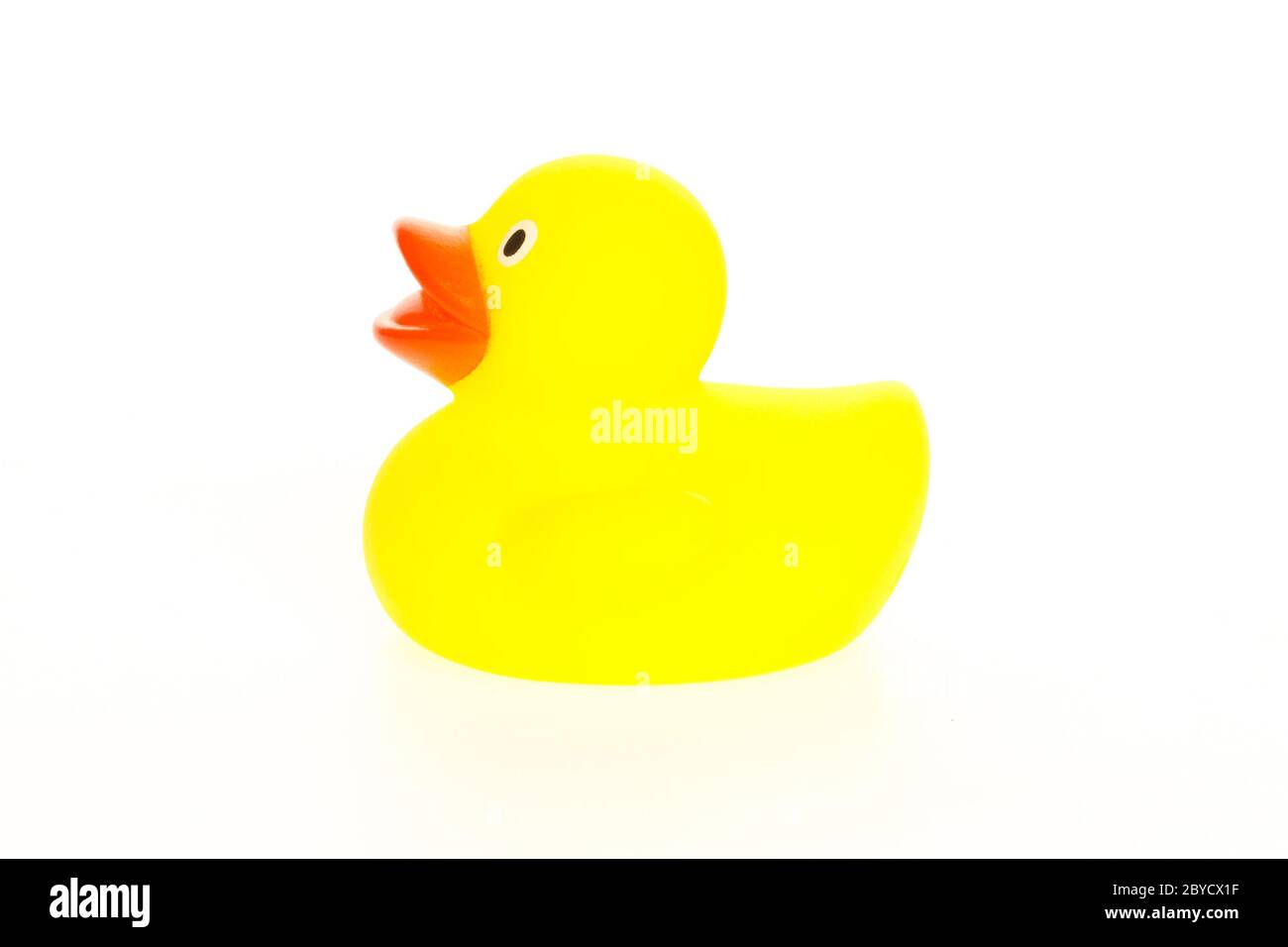 Yellow duck isolated Stock Photo - Alamy