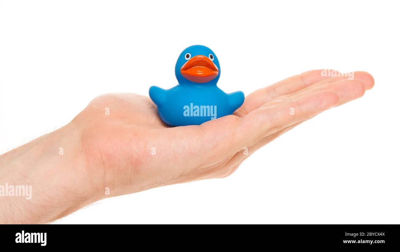 Blue rubber duck on a hand Stock Photo - Alamy
