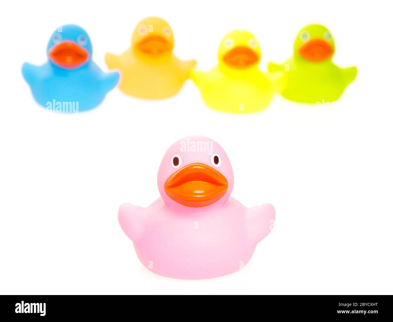 Rubber ducks isolated Stock Photo - Alamy