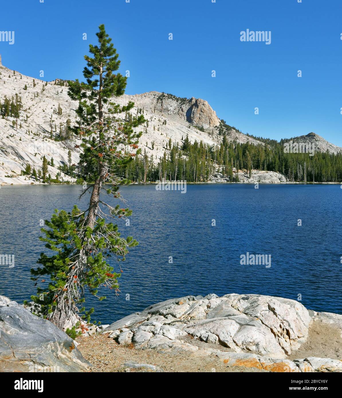 Bright blue May lake Stock Photo - Alamy