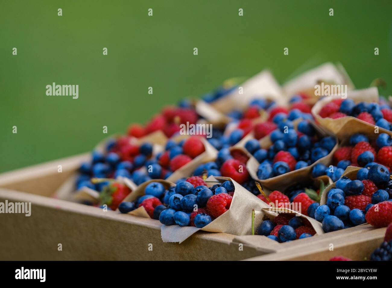 fresh and tasty blueberry and raspberry mixed in portions packed in ...