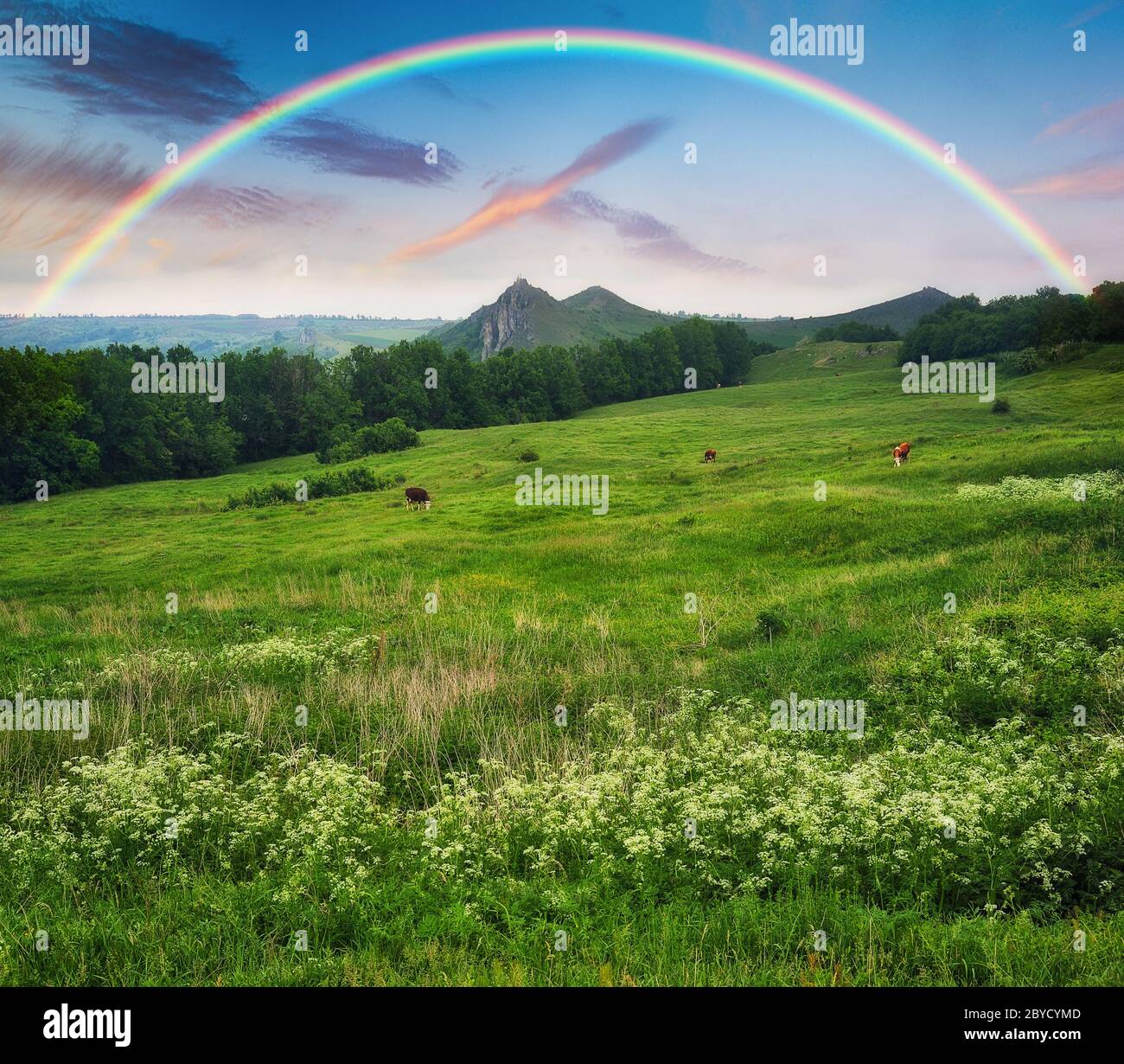 Beautiful landscape with a rainbow in the sky Stock Photo - Alamy