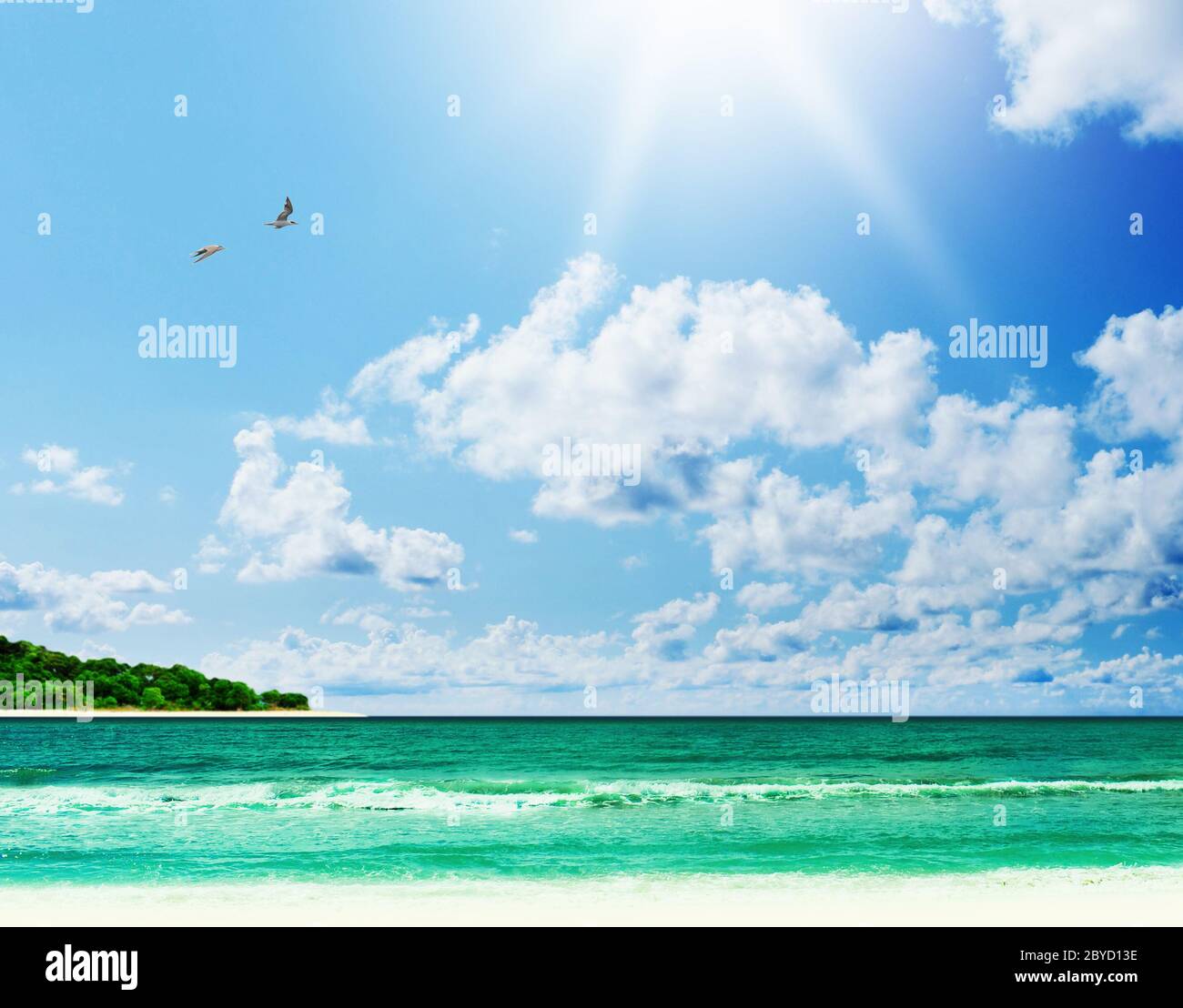 Sunny tropical beach on the island Stock Photo - Alamy
