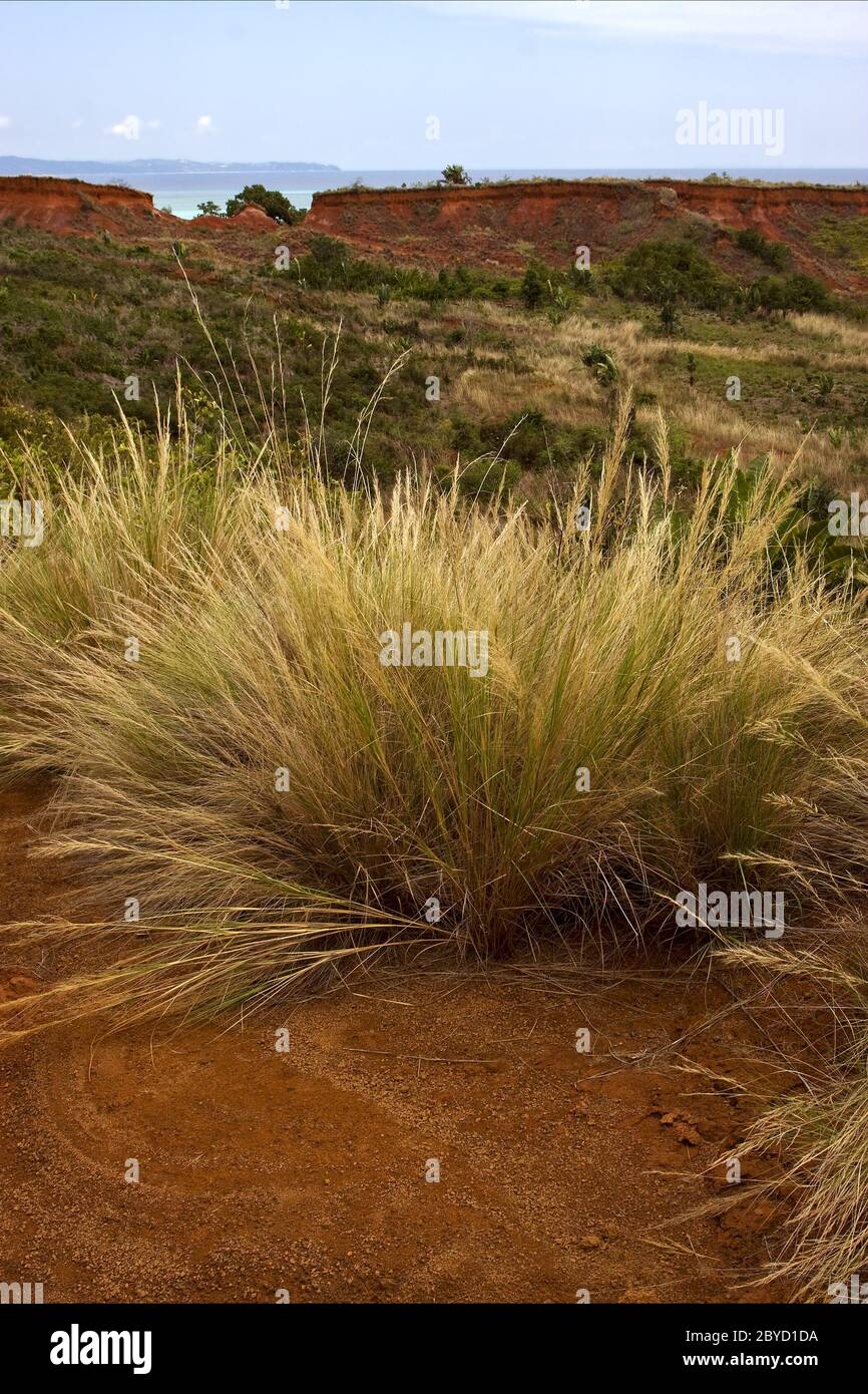 hill bush plant lagoon and coastlinemadagascar Stock Photo - Alamy