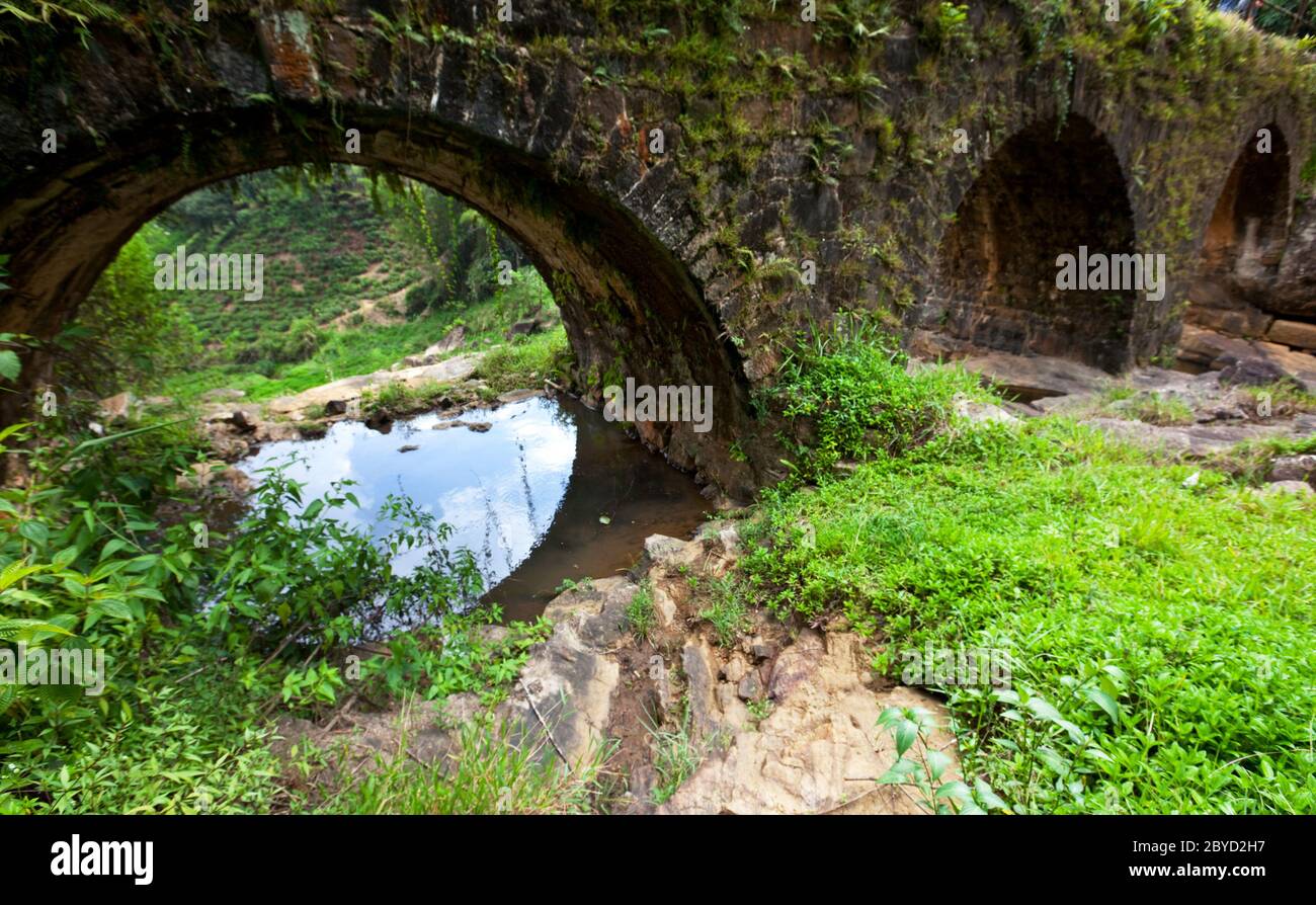 Bridge on Sri Lanka Stock Photo - Alamy