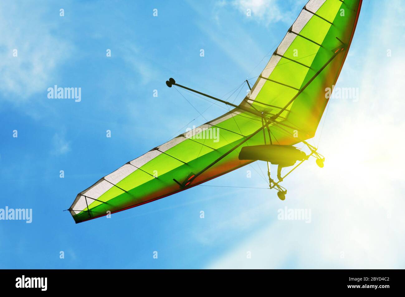 Graceful glider hi-res stock photography and images - Alamy