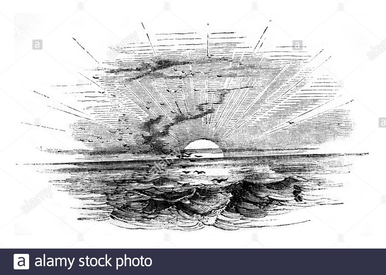Sunrise Drawing Black and White Stock Photos & Images - Alamy