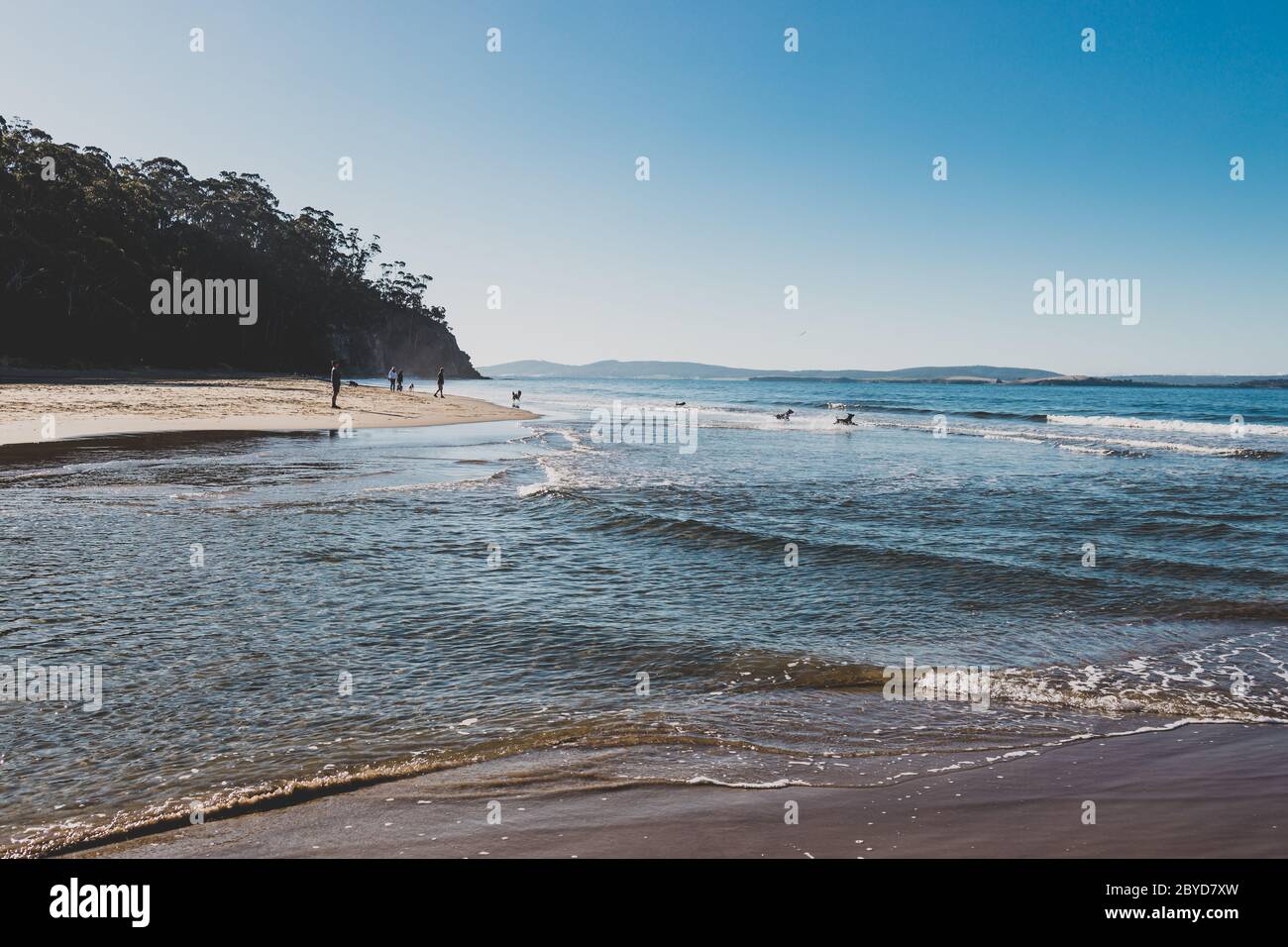 Hobart Tasmania People High Resolution Stock Photography and Images - Alamy