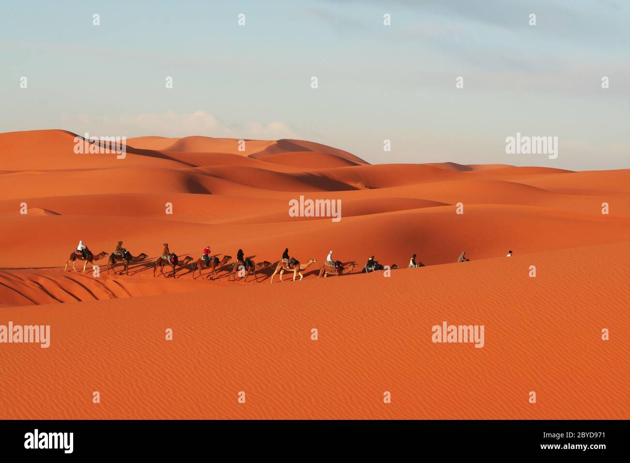 Caravan in the desert Stock Photo - Alamy